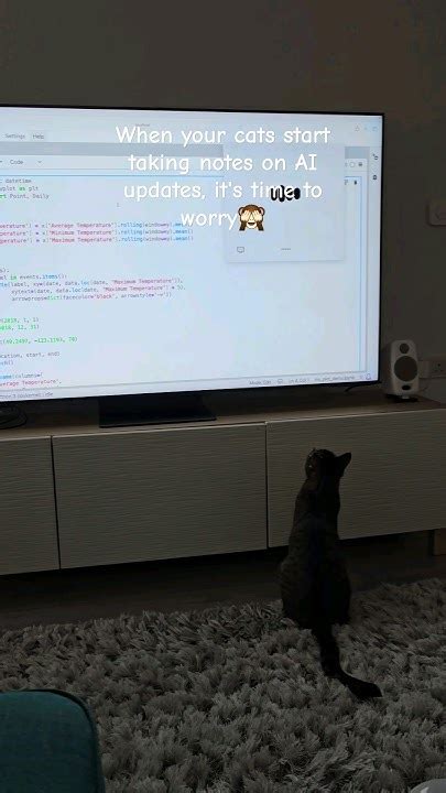 gpt 4o update cats plotting 😹 openai youtube