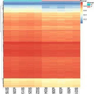 Hierarchical Clustering Heatmap Of Differentially Methylated DNA Sites