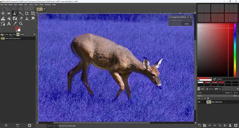 Gnu Image Manipulation Program Gimp Review Pcmag