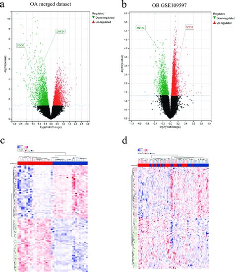 Degs Identified From The Oa Merged Dataset And Ob Dataset Gse109597