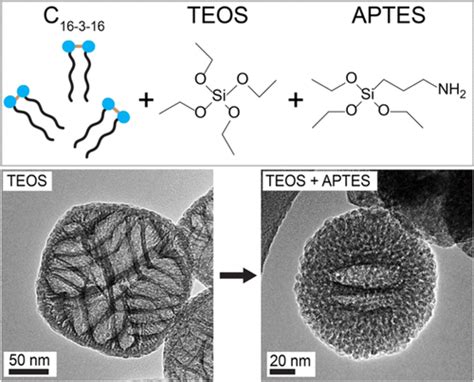One Pot Synthesis Of Aminated Bimodal Mesoporous Silica Nanoparticles