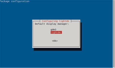 How To Install Lxde Desktop Environment On Debian 11 Bytexd