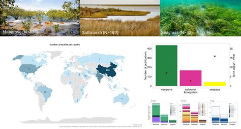 Environmental Microbiology Vol 27 No 8