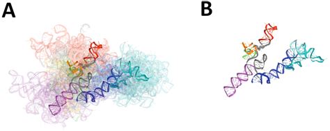 results of global rmsd based comparison of rna 3d models predicted for