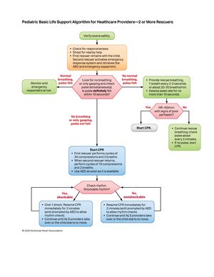 Algorithm BLS Ped Single Rescuer 2020 Pediatric Basic Life Support Algorithm For Healthcare