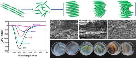 Carbohydrate Polymers X Mol
