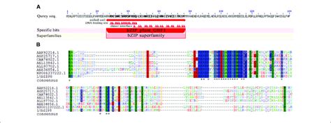 the predicted conserved domains and protein sequence alignment of