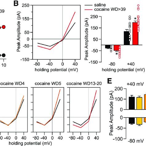 Time Dependent Regulation Of Nmdar Mediated Synaptic Transmission In