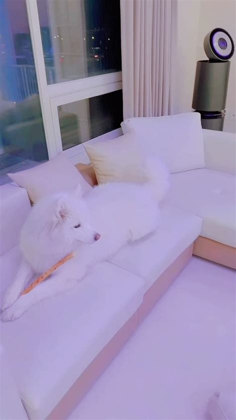 채아 💙𝑃𝑒𝑟𝑓𝑒𝑐𝑡 𝑙𝑜𝑜𝑘 𝑝𝑟𝑒𝑡𝑡𝑦 𝑐𝑙𝑜𝑡ℎ𝑒𝑠 𝑐𝑙𝑒𝑎𝑛 𝑚𝑖𝑛𝑑 Like Likers 선팔