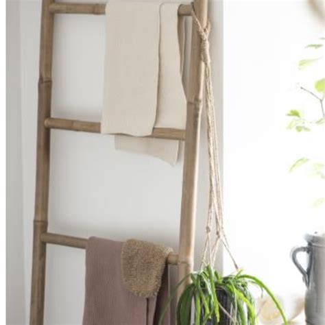 Eucalyptus Trailing Branch 69cm Annie Mos