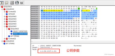 X509证书格式 112156101971501 Csdn博客
