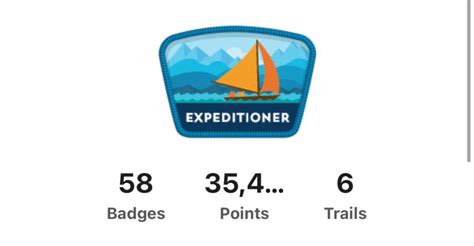 Salesforce Trailblazercommunity Trailblazers Salesforcecertification… Lisa N