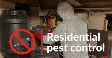Melbourne Pest Control True Pest Prevention Solution