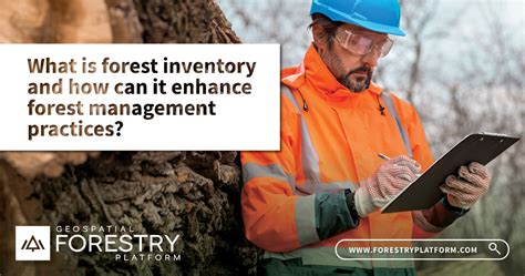 Forest Inventory Forestry Management Software Gis