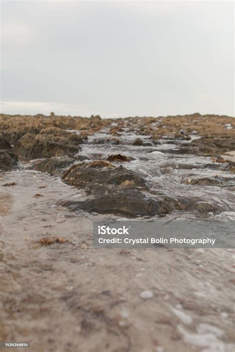 2022년 10월 플로리다 싱어 아일랜드의 선셋에서 빈 록키 비치 해안선을 따라 튀는 바다 파도 0명에 대한 스톡 사진 및 기타 이미지 Istock