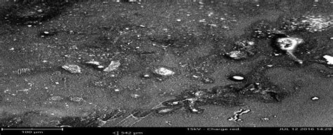 Semeds Profile Of The Epoxy Composite Sample Reinforced With 2 Wt