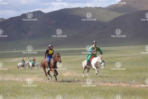 Хөвсгөл аймгийн шилдэг хүлгүүд