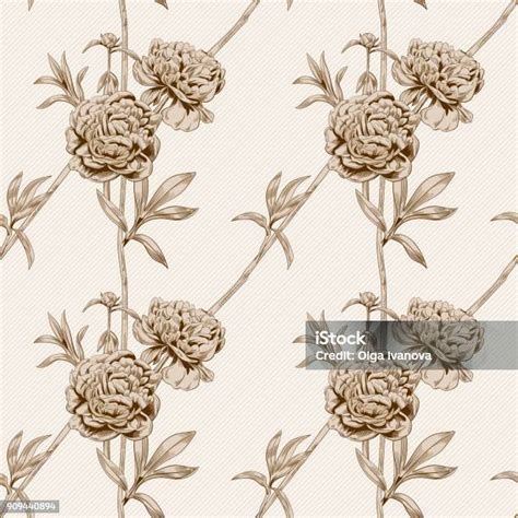 벡터와 갈색 흑백 모란 꽃 새싹 줄기 사각 꽃 완벽 한 패턴 빈티지 배경 디지털에 나뭇잎 그리기 그림 스타일 조각에서 벡터 0