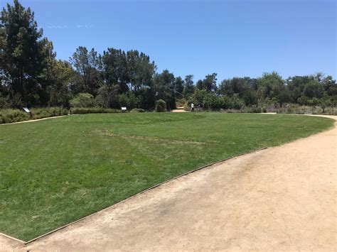 San Joaquin Marsh Picnic Area Nature Parks Orange County California