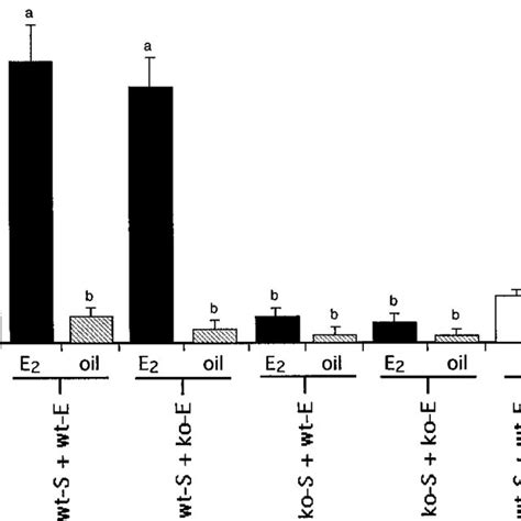 PDF Role Of Stromal And Epithelial Estrogen Receptors In Vaginal Epithelial Proliferation