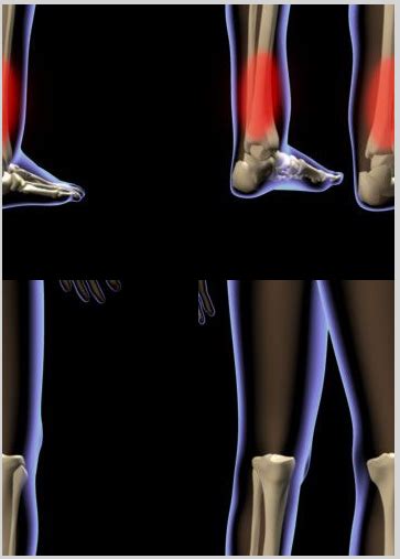 Createjs Published Movieclip Divided To Four Stack Overflow