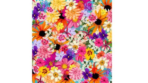 Optical Illusion Challenge Only 1 Of Genius Can Find The Hidden Star