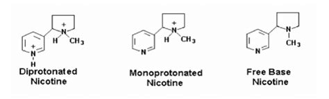 Mono And Diprotonated Nicotine Download Scientific Diagram