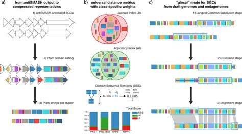 Main Concepts In The Big Scape Algorithm A Input Data Comes From Download Scientific