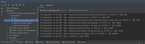 Executando Imagem Docker Utilizando O Pycharm Agtec Core