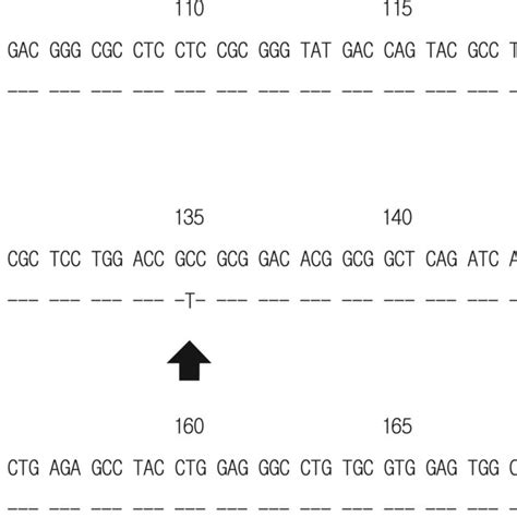 alignment of the sequences of exon 3 of c 03 465 with the sequence of