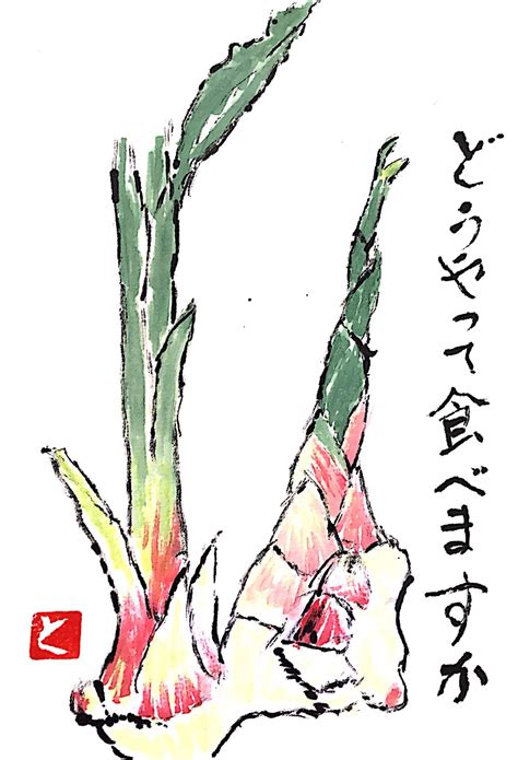 どうやって食べますか ミョウガ 絵手紙 交流ひろば てがみ倶楽部