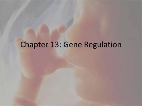 PPT Chapter Gene Regulation PowerPoint Presentation Free