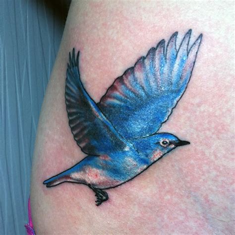Bluebird Tattoos Designs Ideas And Meaning Tattoos For You