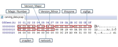 Practice Makes Perfect Pcap File Format