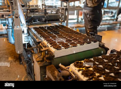 Pot Pallets Automatically Fill With Peat Mixture To Maximize Grow Potential Smart Seed