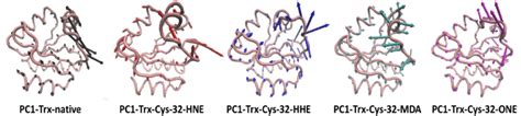 Domain Motion Modes From Pc1 Represented For Modified And Unmodified Download Scientific