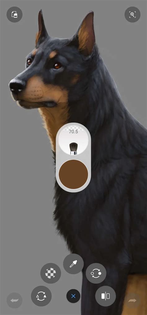 Sketchbook V6 2 2 Mod Apk Premium Unlocked Download