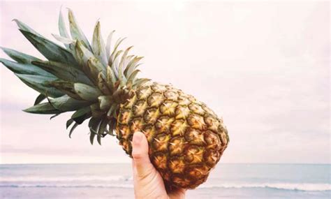 Is Pineapple Fattening Or Does It Help Burn Fat