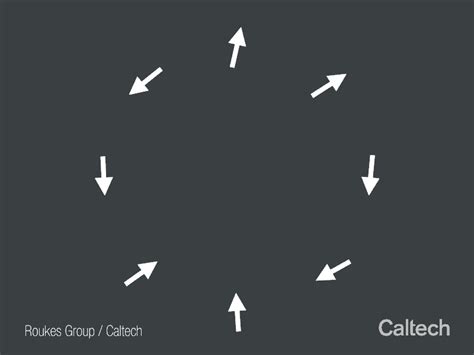 Exotic Synchronization Patterns Emerge In A Simple Network Uc Davis