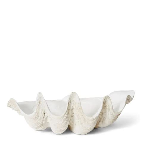 Buy Large Clam Shell Sculpture In Perth Osborne Park And Joondalup Wa