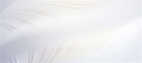 定期醫美保養全攻略｜維持水嫩透亮肌，告別疲態臉｜蒔禾日美學