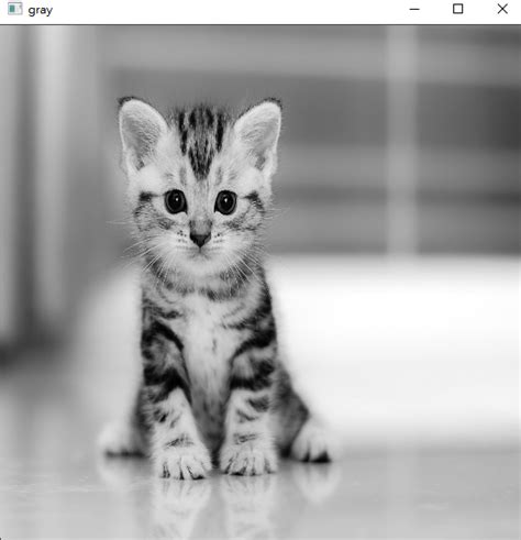 Python Different Result Of Pltimshow And Cv2imshow In Jupyter Stack Overflow