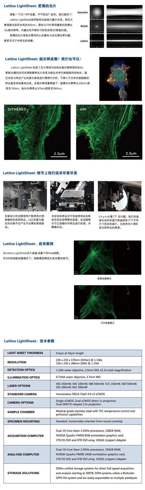 Lattice Lightsheet 晶格光片显微镜 上海仁科生物科技有限公司