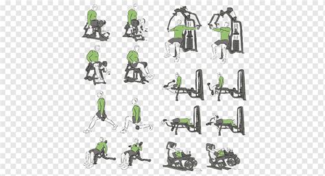 보디 빌딩 운동 일러스트 피트니스 피트 니스 생일 축 하 벡터 이미지 스포츠 장비 Png Pngwing