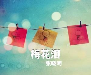 王小玮水姑娘简谱