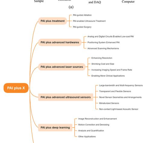 A Principle Of PAI B Overview Of PAI Plus X Download Scientific Diagram