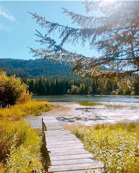 Ramiro Robles Ramiropics • Instagram Photos And Videos