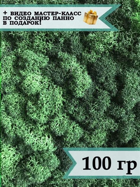 Стабилизированный мох ягель 100 гр темно зеленый лесной мох для декора озеленения и дизайна