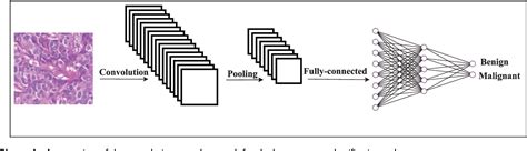 Figure 1 From Evolving Convolutional Neural Network Parameters Through The Genetic Algorithm For