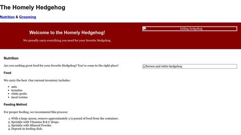 Html Css Final Begin